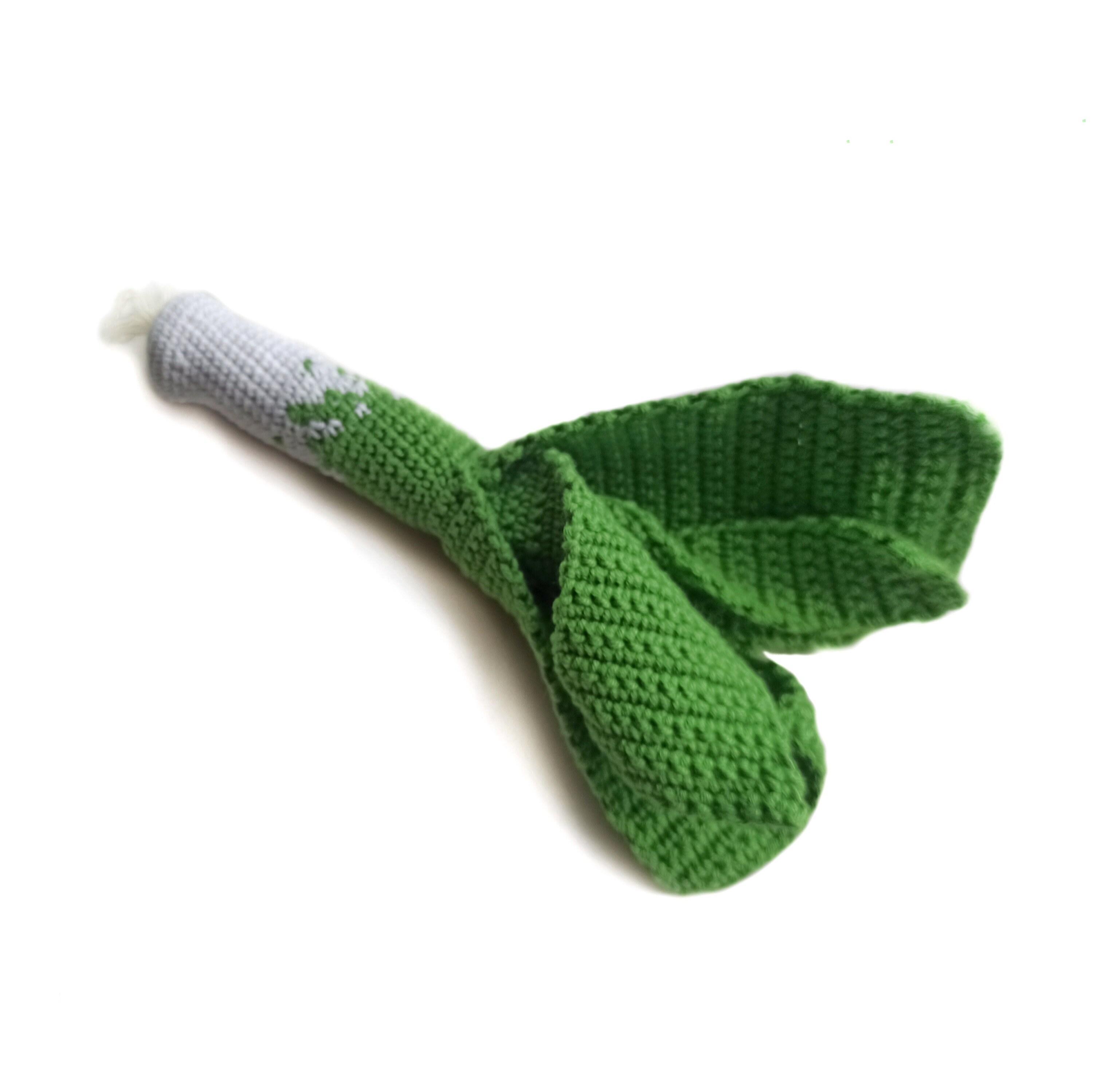 LEEK Crochet Pattern PDF Crochet Leek Pattern. Play Food - Etsy Canada