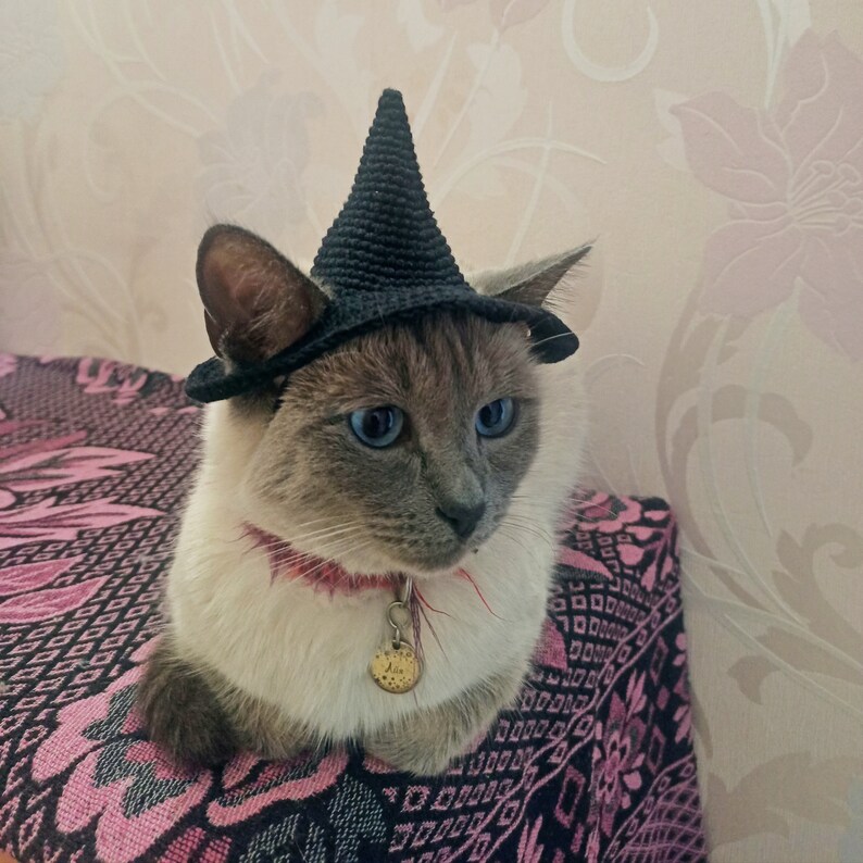 WITCH HAT for Cat Crochet Pattern PDF - Instructions for Cat Witch Hat ...