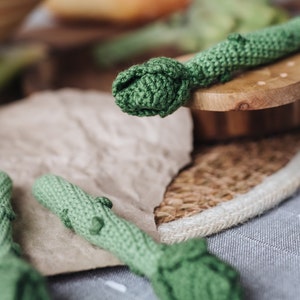 ASPARAGUS Crochet Pattern PDF - Amigurumi Asparagus Spears. Crochet Asparagus Pattern. Crochet ...