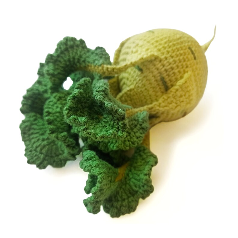 KOHLRABI CABBAGE Crochet Pattern - Crochet Kohlrabi Pattern. Amigurumi ...