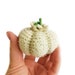 GARLIC Crochet Pattern PDF Amigurumi Garlic Pattern. Play - Etsy