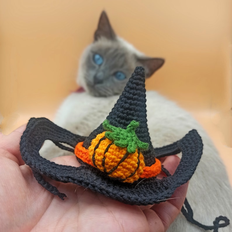 WITCH HAT for Cat Crochet Pattern PDF - Instructions for Cat Witch Hat ...