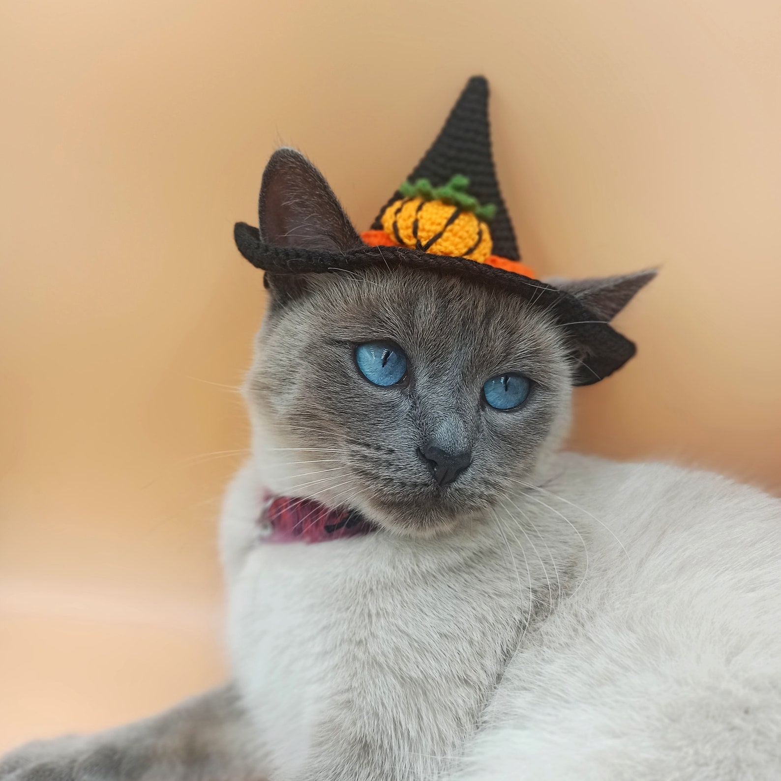 WITCH HAT for Cat Crochet Pattern PDF - Instructions for Cat Witch Hat ...