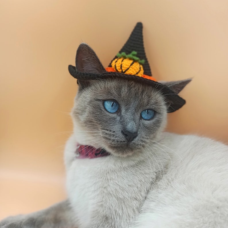 WITCH HAT for Cat Crochet Pattern PDF - Instructions for Cat Witch Hat ...