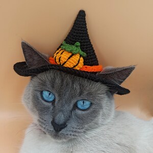 WITCH HAT for Cat Crochet Pattern PDF - Instructions for Cat Witch Hat ...