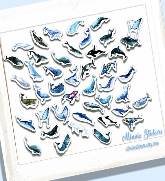 Whale Stickers Set Sea Blue Sticker Whale Stationary Marine - Etsy