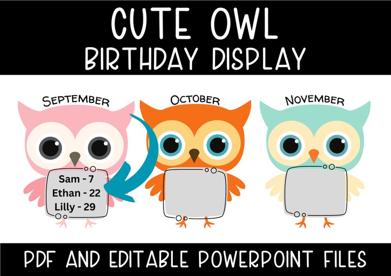 Cute Owl Birthday Display PDF/PPTX - Etsy