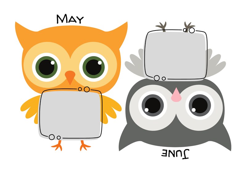 Cute Owl Birthday Display PDF/PPTX - Etsy