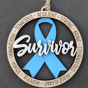 Survivor Ornament, Cancer Awareness Car Charm, Gift for Breast, Colon ...