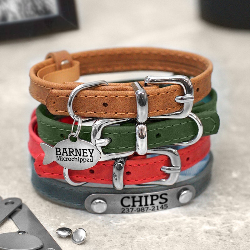 Personalized Cat Collar - Etsy