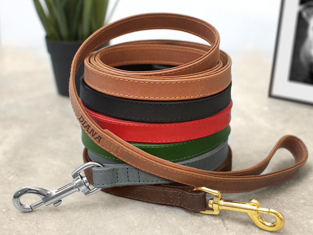 5 Foot Dog Leash Leather, Custom Dog Leash With Silver or Gold Snap ...