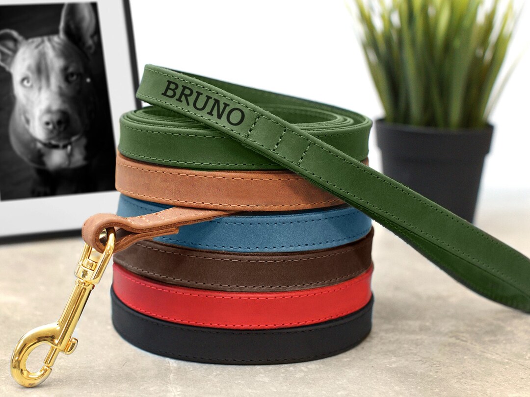 Personalized Leather Dog Leash, Durable Pet Leashes With Golden and ...
