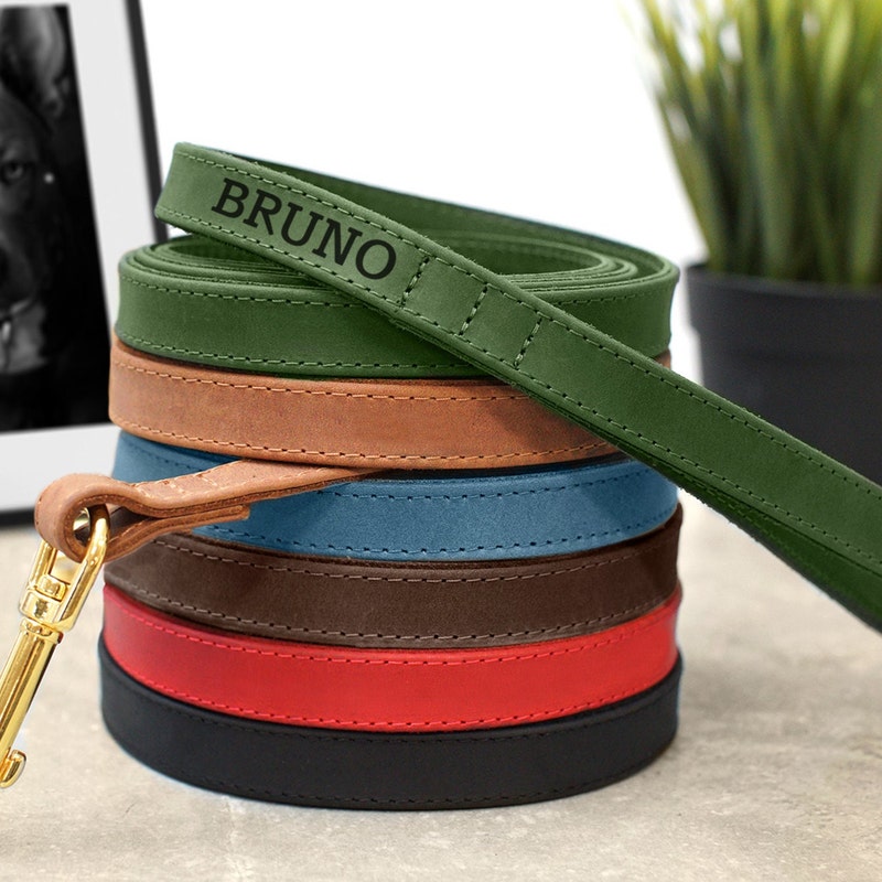 Dog Leash - Etsy
