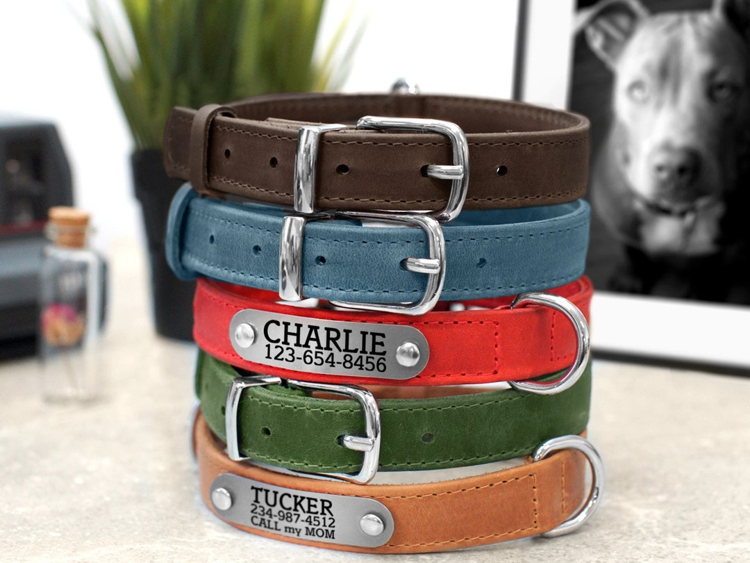 Personalized Leather Dog Collars for Dogs With Custom Laser Engraved ...