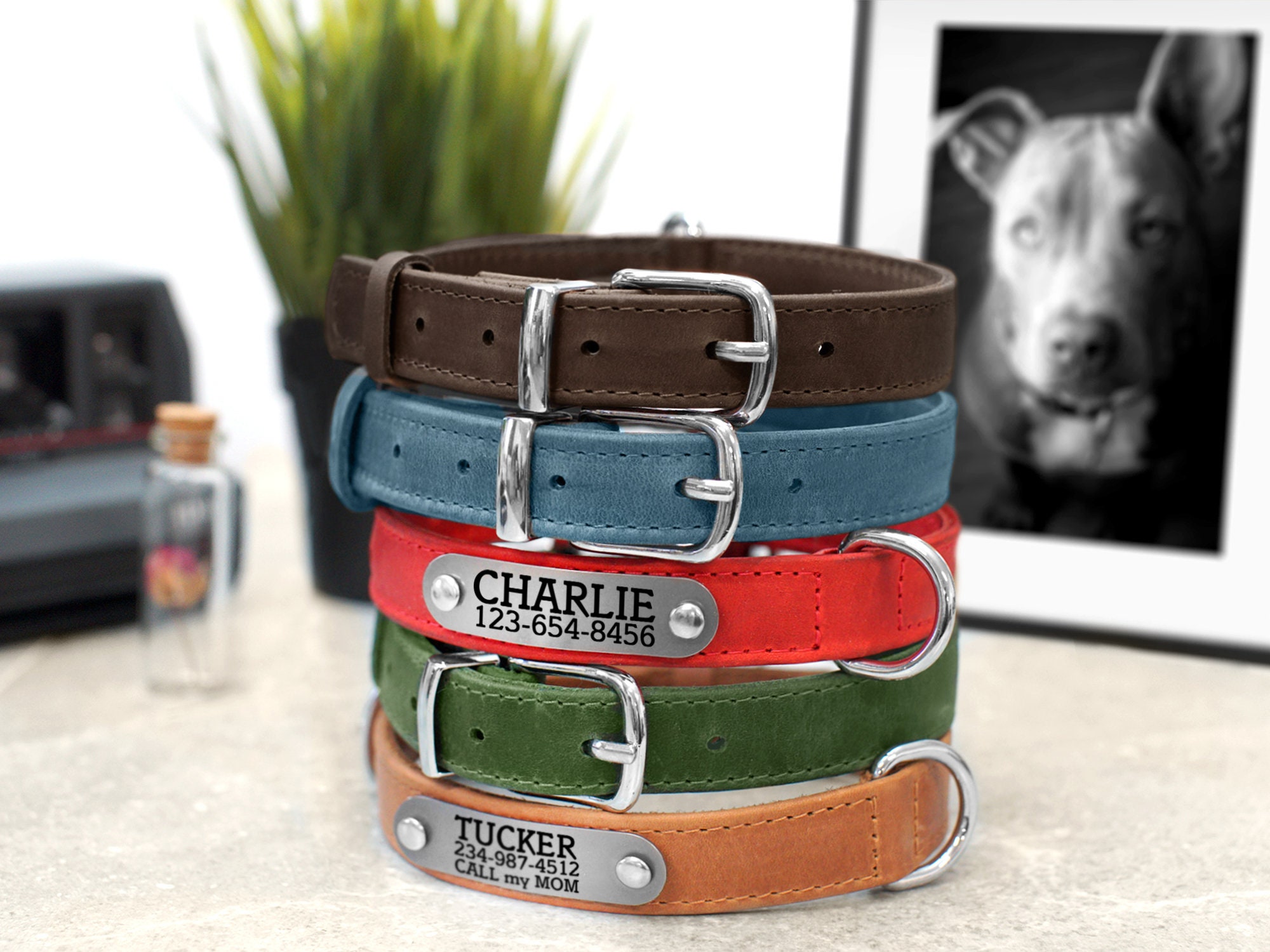 Leather Dog Collar Personalized Dog Collar Leather Engraved - Etsy UK