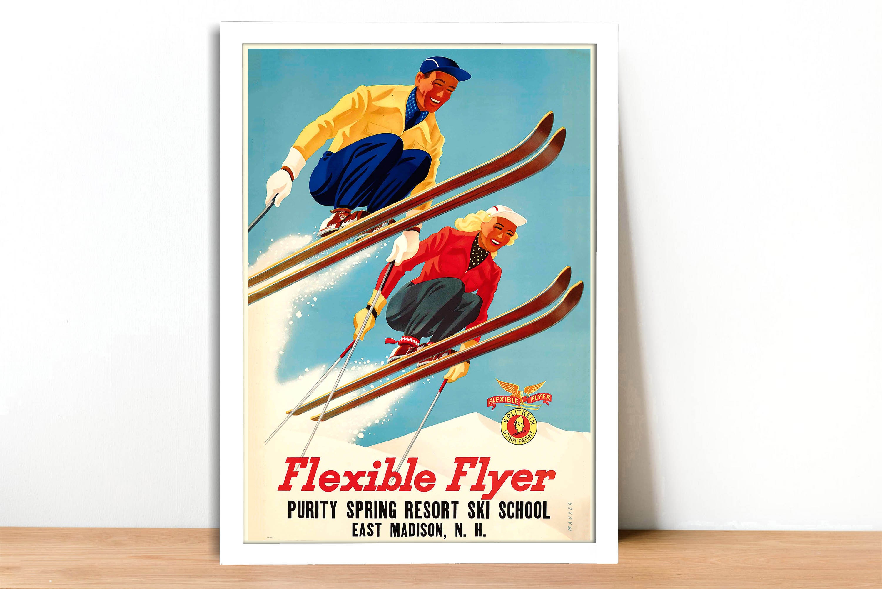 Flexible Flyer Purity Spring Resort in East Madison Wisconsin USA ...