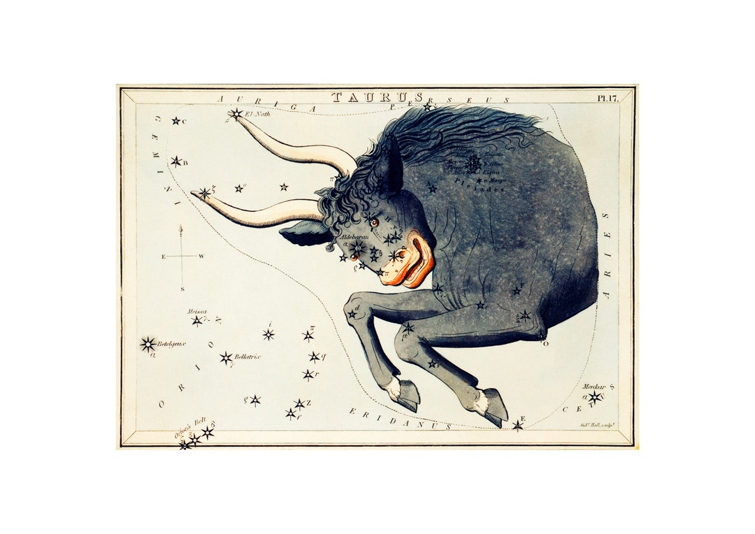 Taurus Constellation Fine Art Print Antique Lithograph From 1825 ...