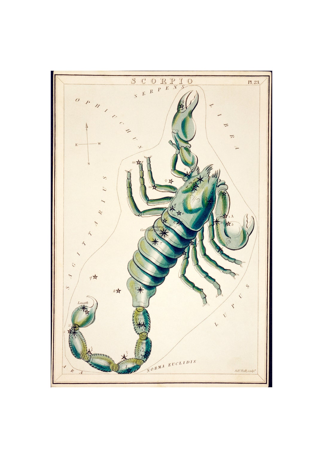 Scorpio Constellation Fine Art Print Antique Lithograph From 1825 ...