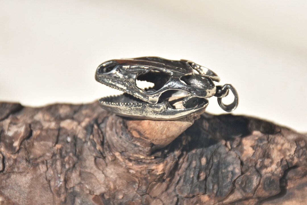 Pendant lizard Brass Skull Skull Lizard Gothic Hippie Festival Jewelry ...