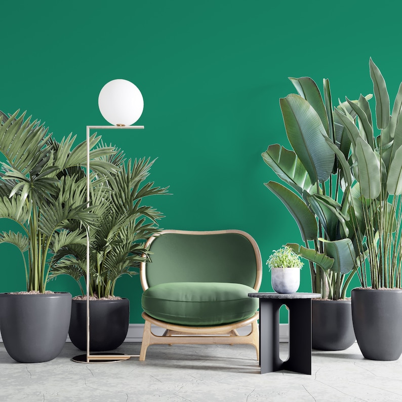 Peel and Stick Wallpaper Green Solid Color Home Decor - Etsy