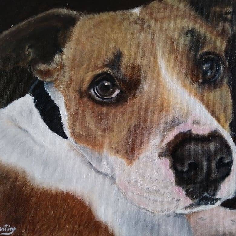 Custom Animal Painting From Photo Original Oil Painting on - Etsy