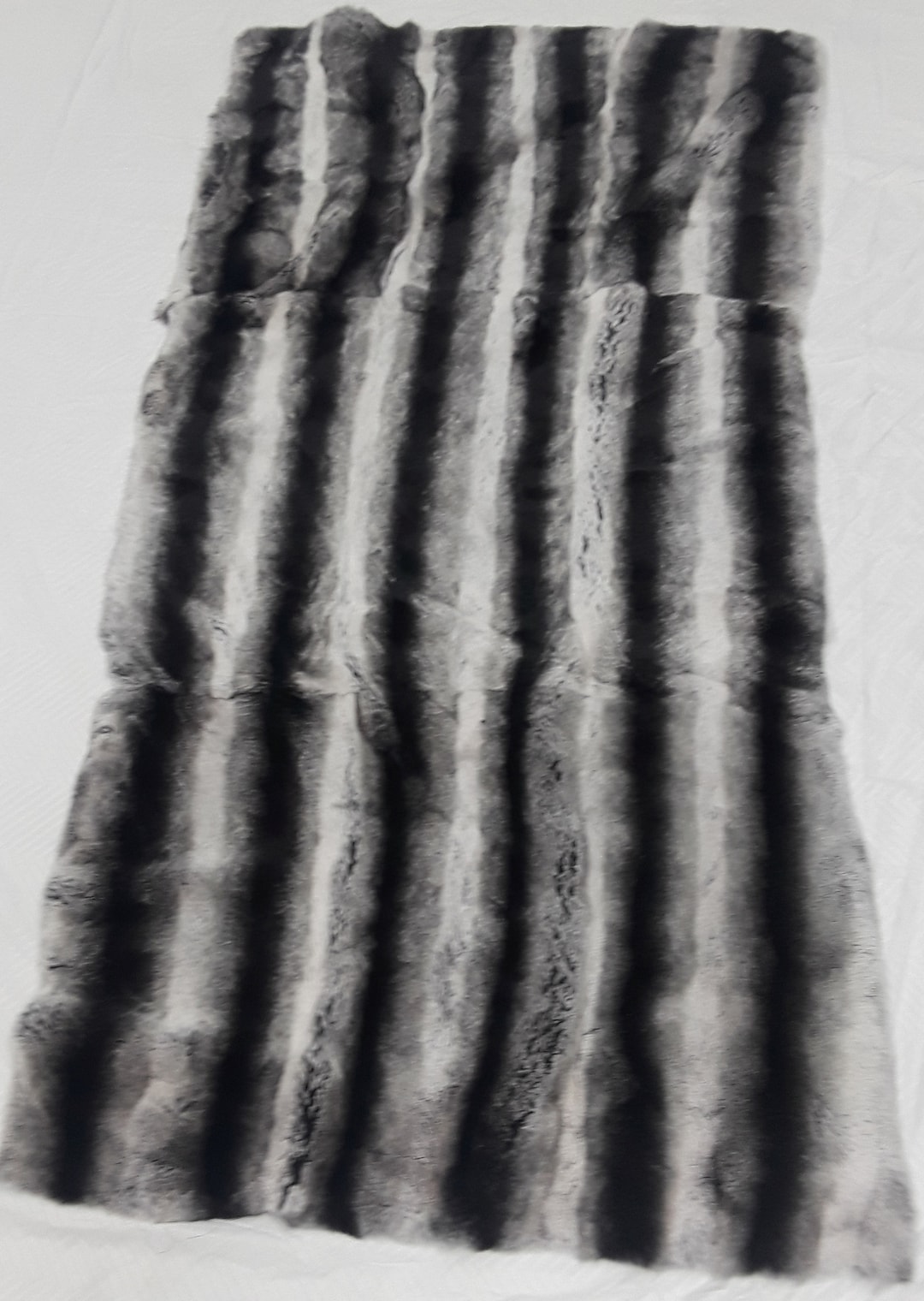 Chinchilla Rex Rabbit Plates, Rabbit, Rex, Shearling, Fur, Skins-size ...