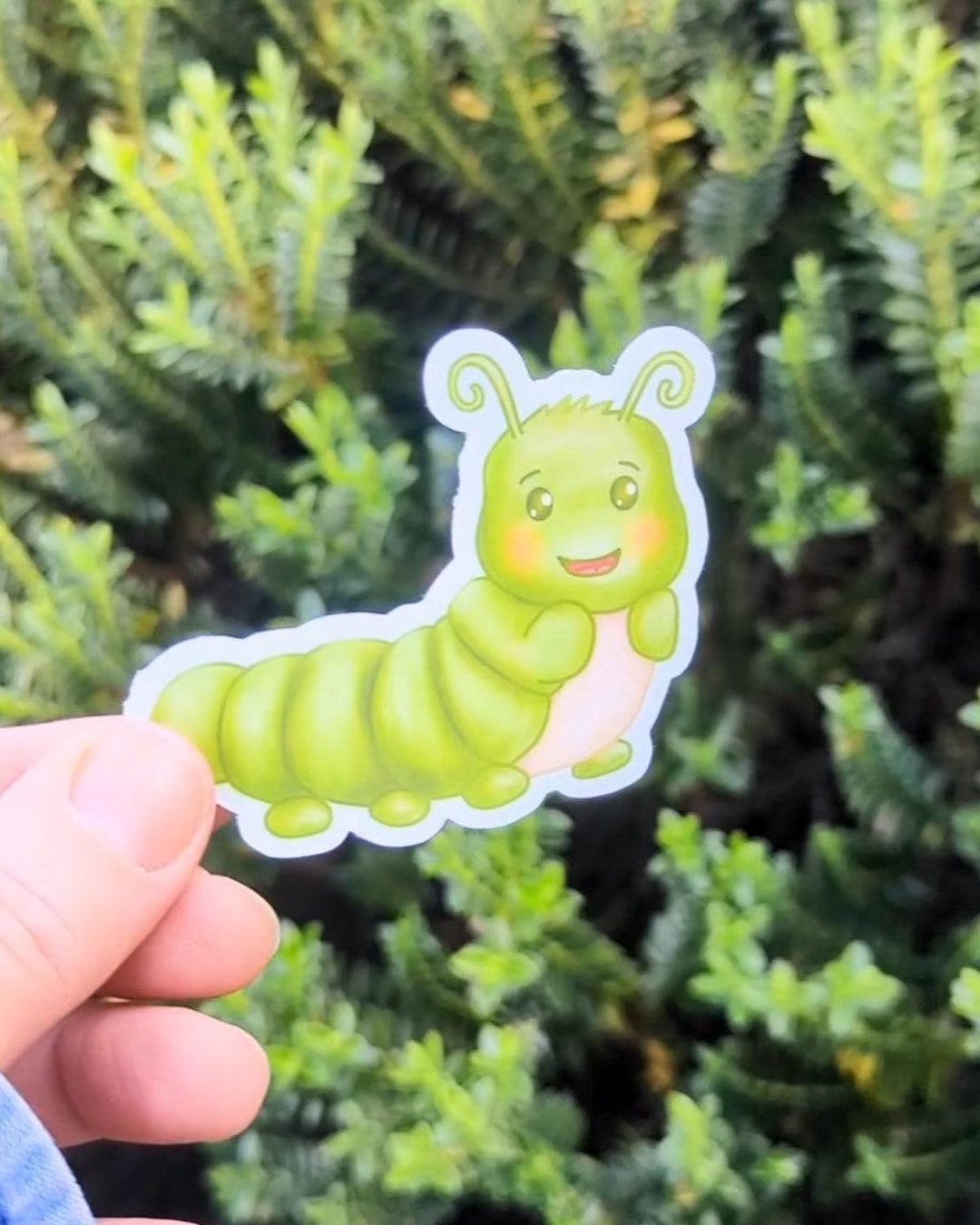 Caterpillar Vinyl Sticker, Cute Caterpillar Sticker - Etsy