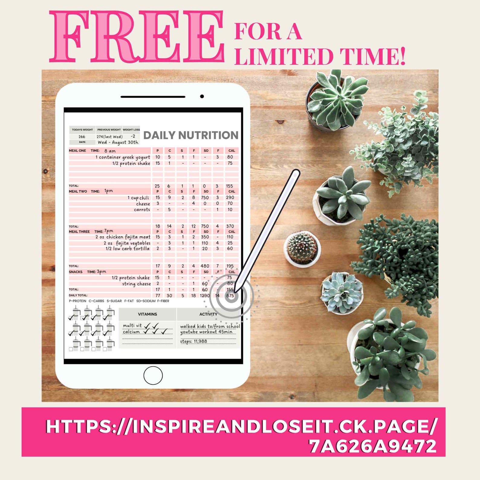 Weight Loss Surgery Log, Bariatric Surgery, WLS, Daily Food Log ...