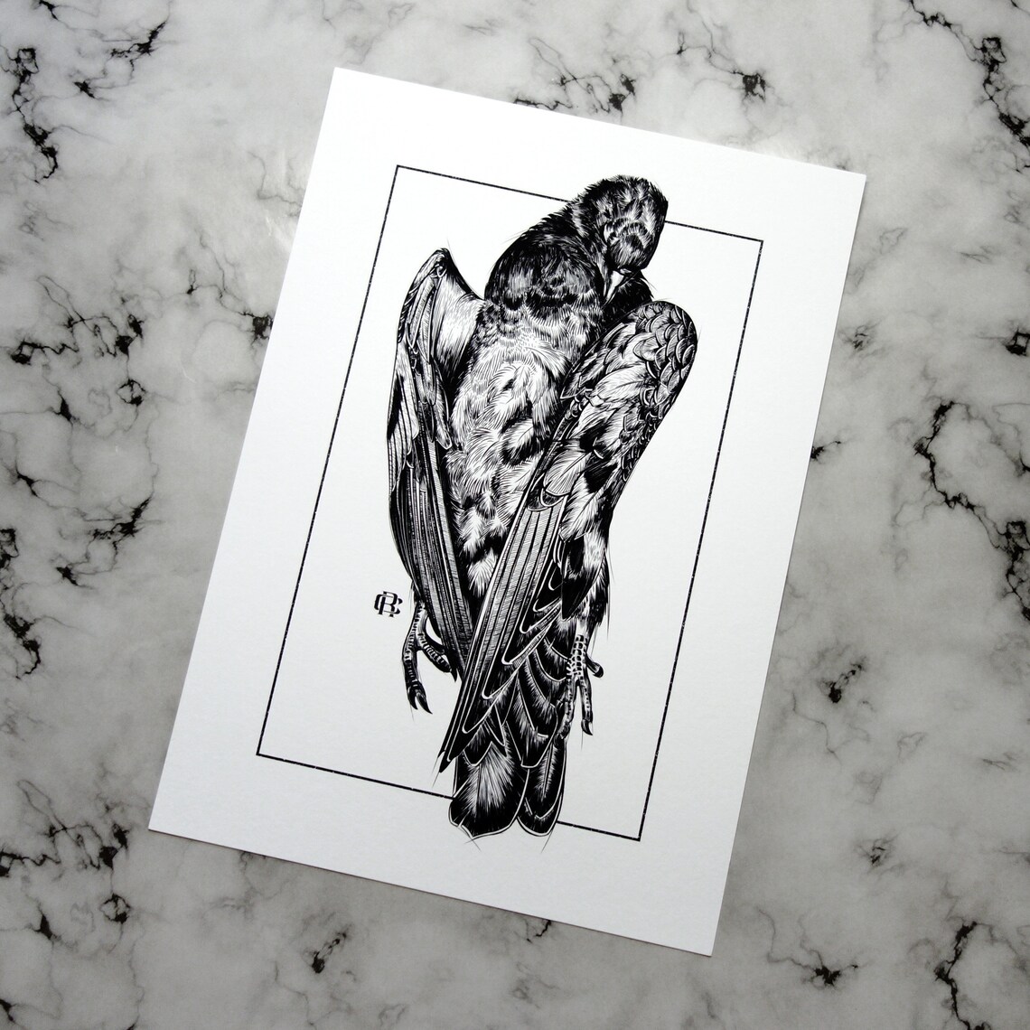 Art Print free Bird Dove Dead Bird Carcass - Etsy