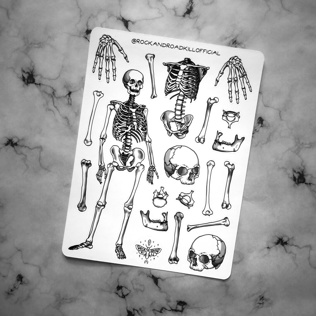 Sticker Sheet "skeleton Rock" - Bones, Anatomy, Skeleton, Human ...