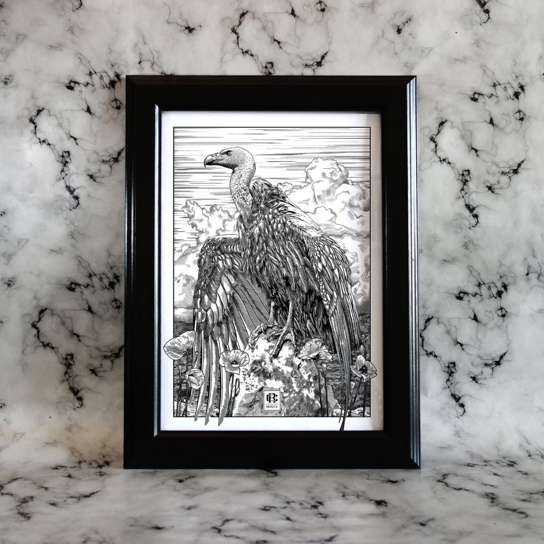 Art Print A4 the Scavenger Vulture, Bird, Bird of Prey, Linework ...