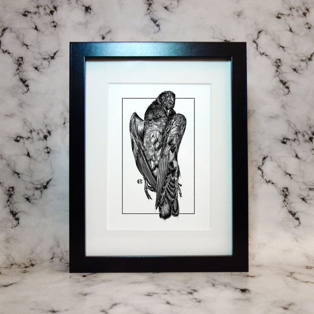 Art Print free Bird Pigeon, Dead Bird, Carcass, Linework, Occult, Goth ...