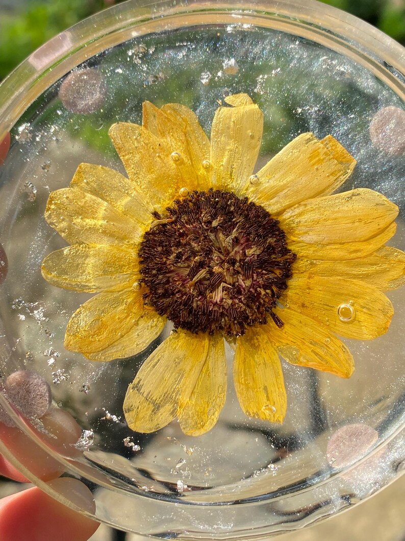 Sunflower Coaster | Round - Etsy