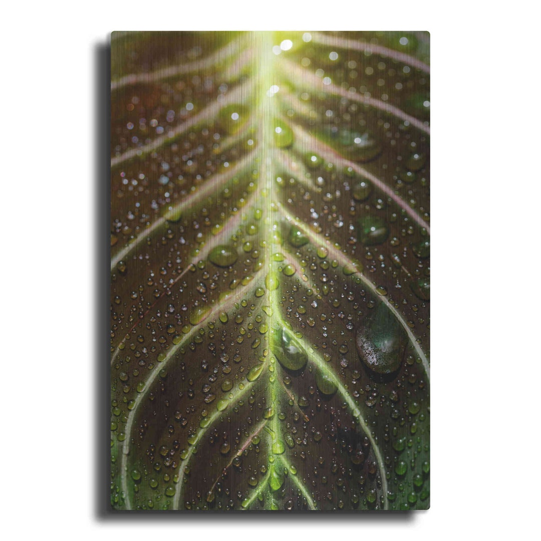 Morning Dew by Epic Portfolio Metal Wall Art - Etsy