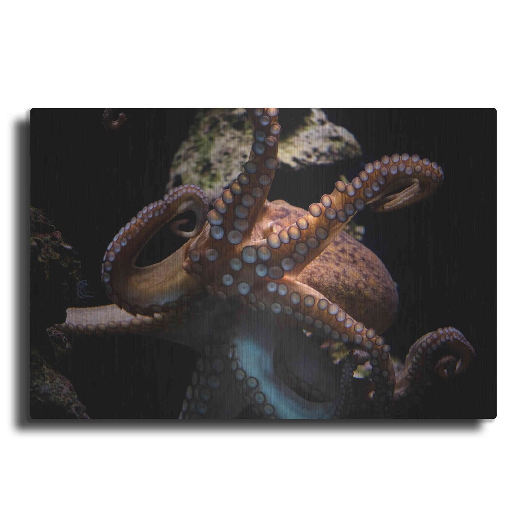The Kraken by Epic Portfolio Metal Wall Art - Etsy