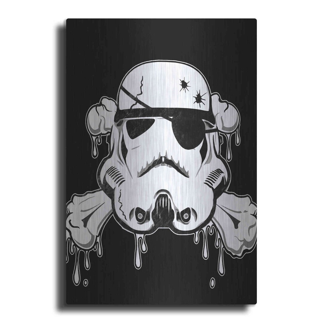 Pirate Trooper by Nicklas Gustafsson, Metal Wall Art - Etsy