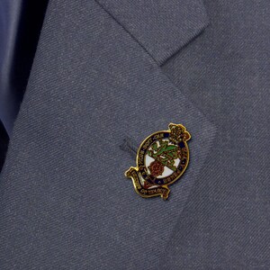 Princess of Wales's Royal Regiment Regimental Lapel Badge - Etsy