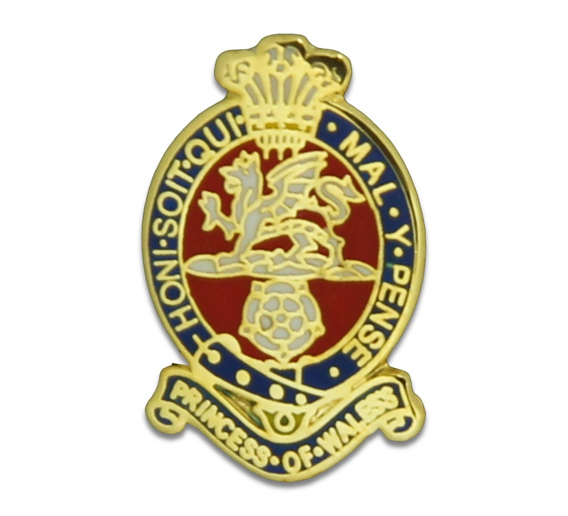 Princess of Wales's Royal Regiment Regimental Lapel Badge - Etsy