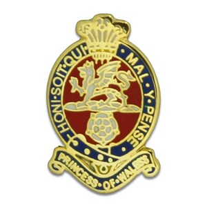 Princess of Wales's Royal Regiment Regimental Lapel Badge - Etsy