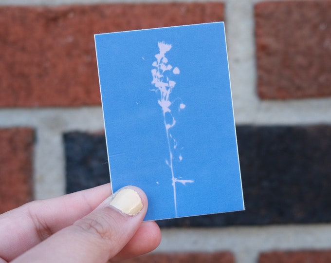 Blue Botanical Cyanotype Stickers Pack of 10 or 20 Round Glossy Labels ...