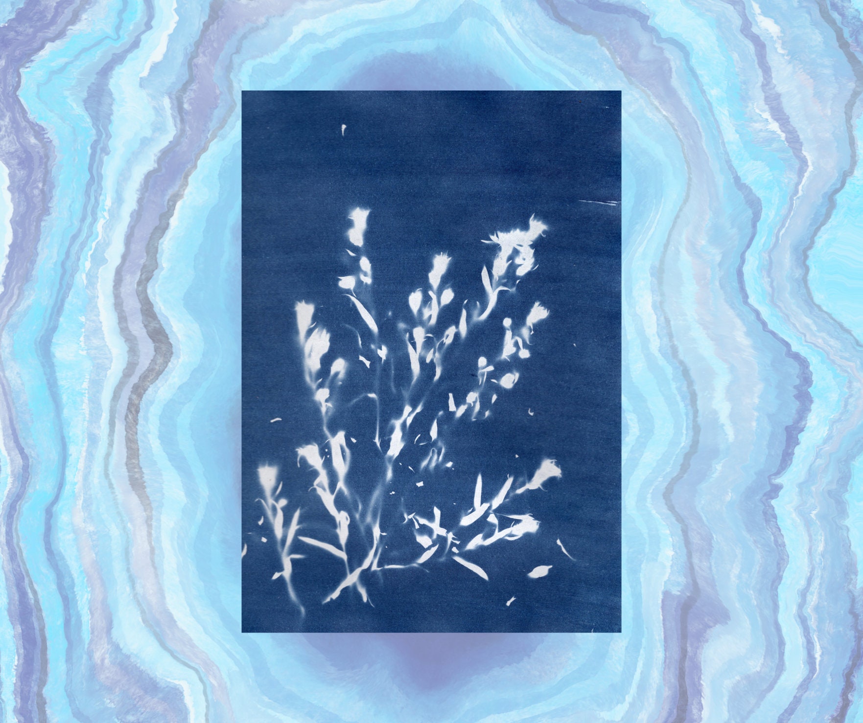 My First Experiment With Cyanotypes • Obscuraprintshop • Handmade Art ...