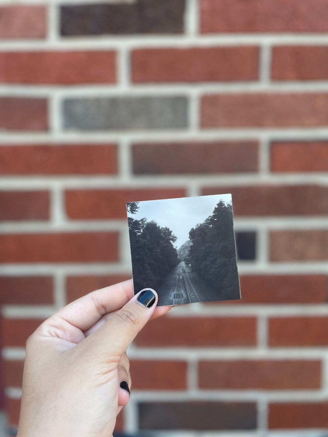 Along Metro North • Photographic Sticker • Durable Vinyl Sticker ...