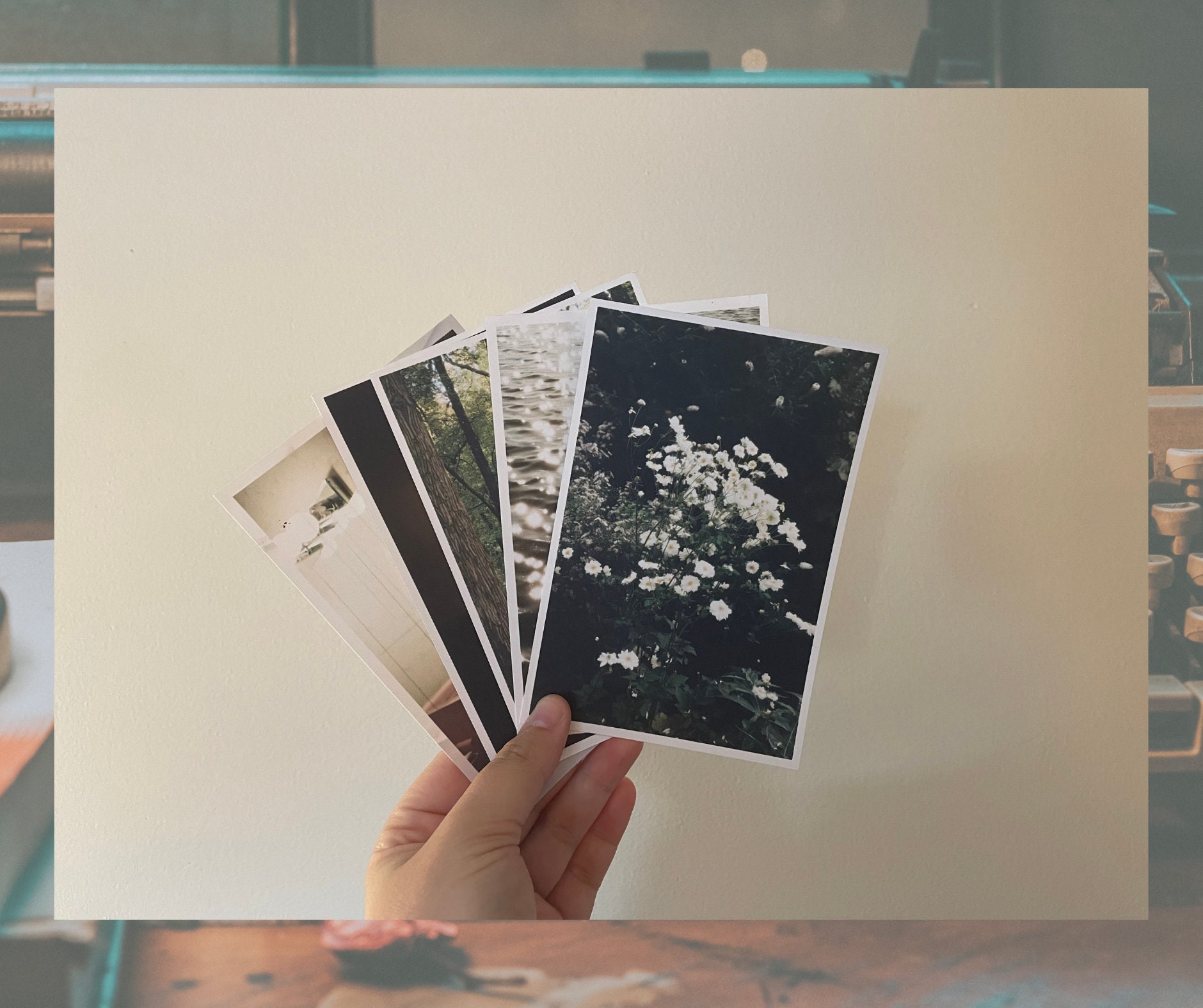 35MM and 120MM Photo Postcard Pack • Obscuraprintshop • Handmade ...