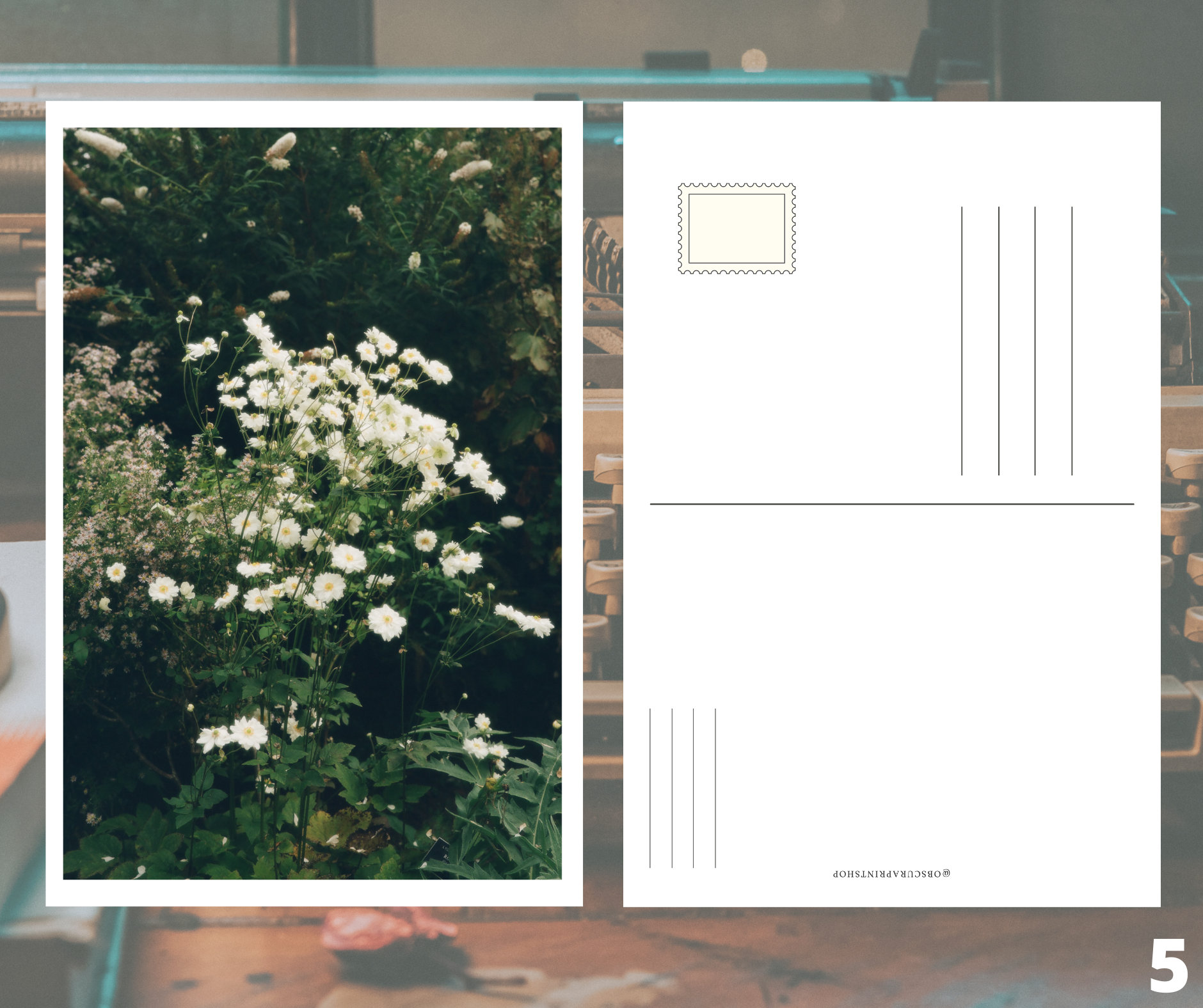 35MM and 120MM Photo Postcard Pack • Obscuraprintshop • Handmade ...