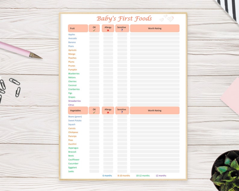 Baby First Food Tracker/easy for Mom or Dad Babysitters and | Etsy Canada