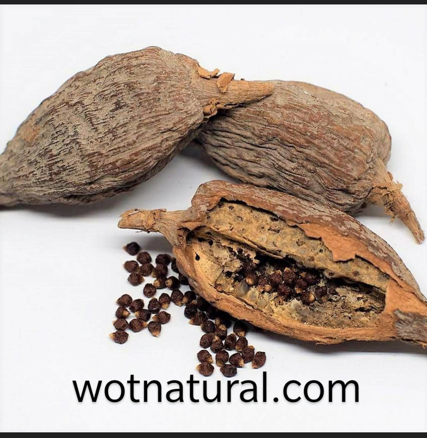 Whole African Alligator Pepper Pods Ataare Spice Mbongo | Etsy