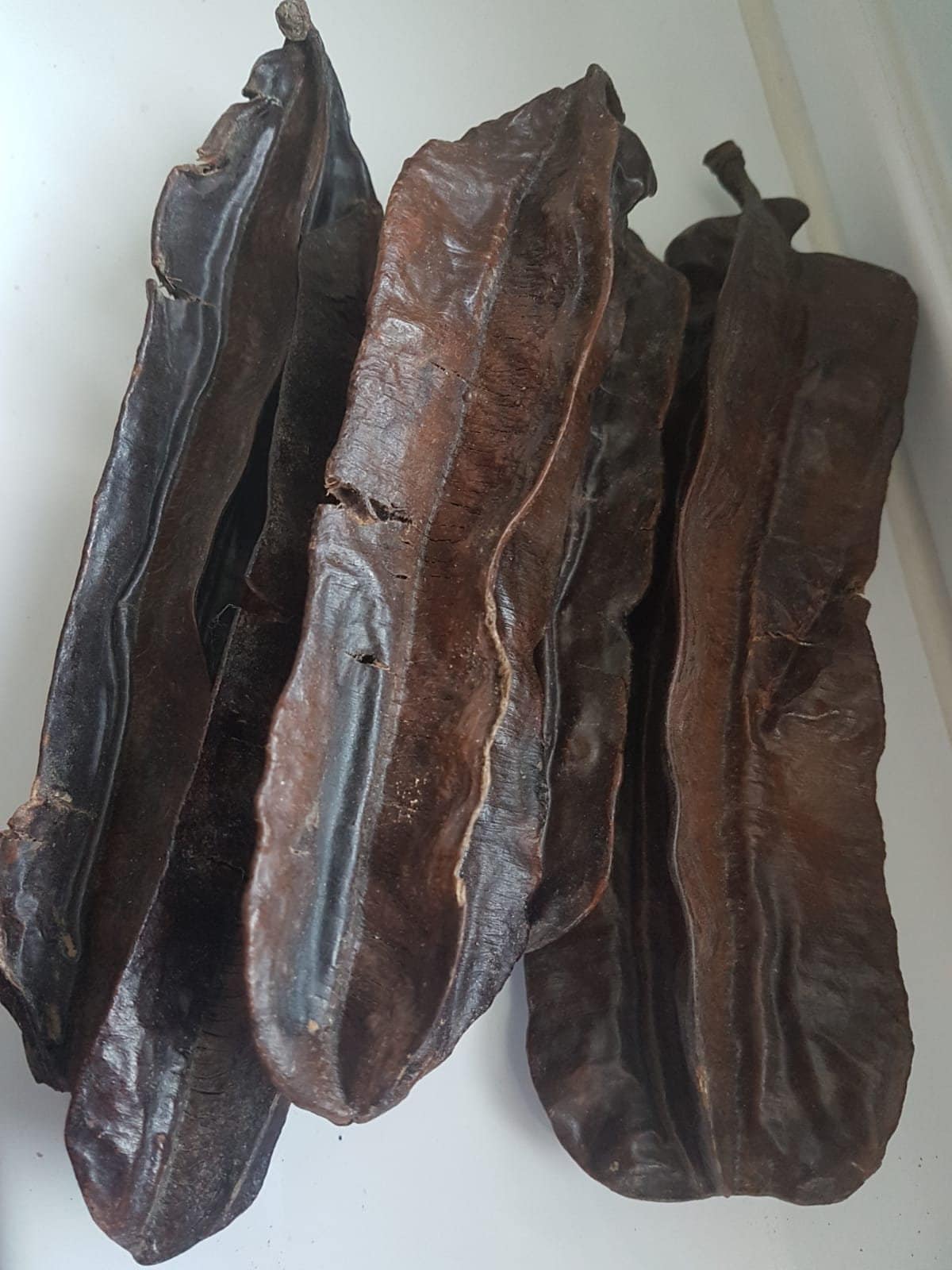 Organic Prekese Fruit Uhio Aidan Tetrapleura Tetraplera Aridan | Etsy ...