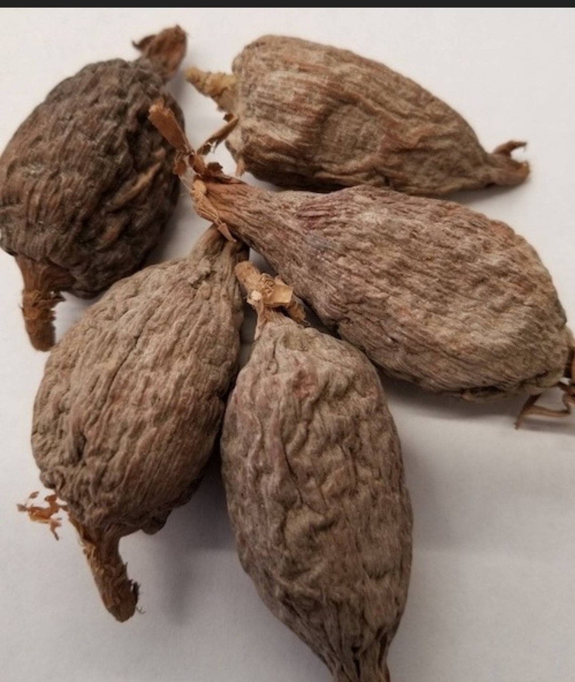 Whole African Alligator Pepper Pods Ataare Spice Mbongo - Etsy