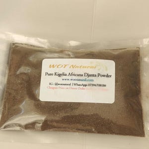 Kigelia Africana Djanta/pandoro/rawuya/kigeria Pinnata/african Sausage ...