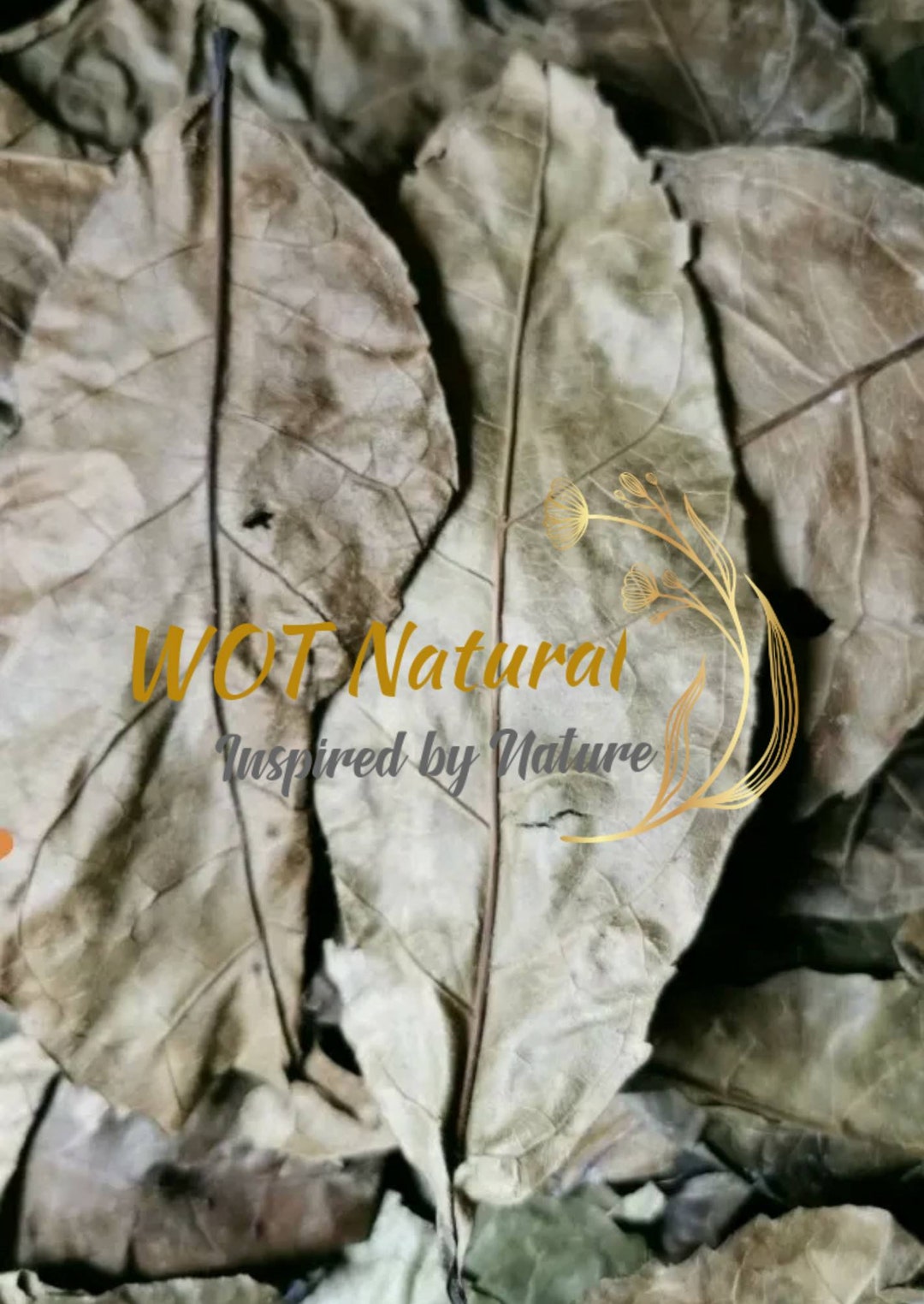 Fertility Leaves- Newbouldia Laevis (dry Ewe Akoko (yoruba) Aduruku ...